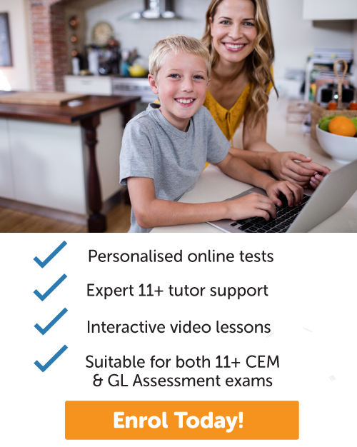 Online Graduate Course - Year 5