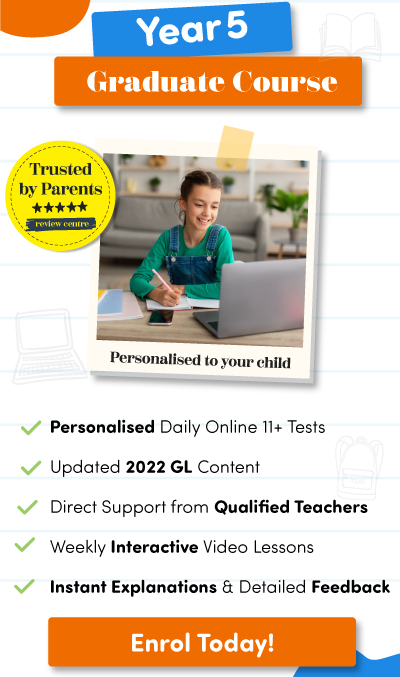 Online Graduate Course - Year 5